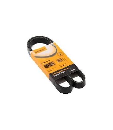 CINGHIA SERVIZI 500368902